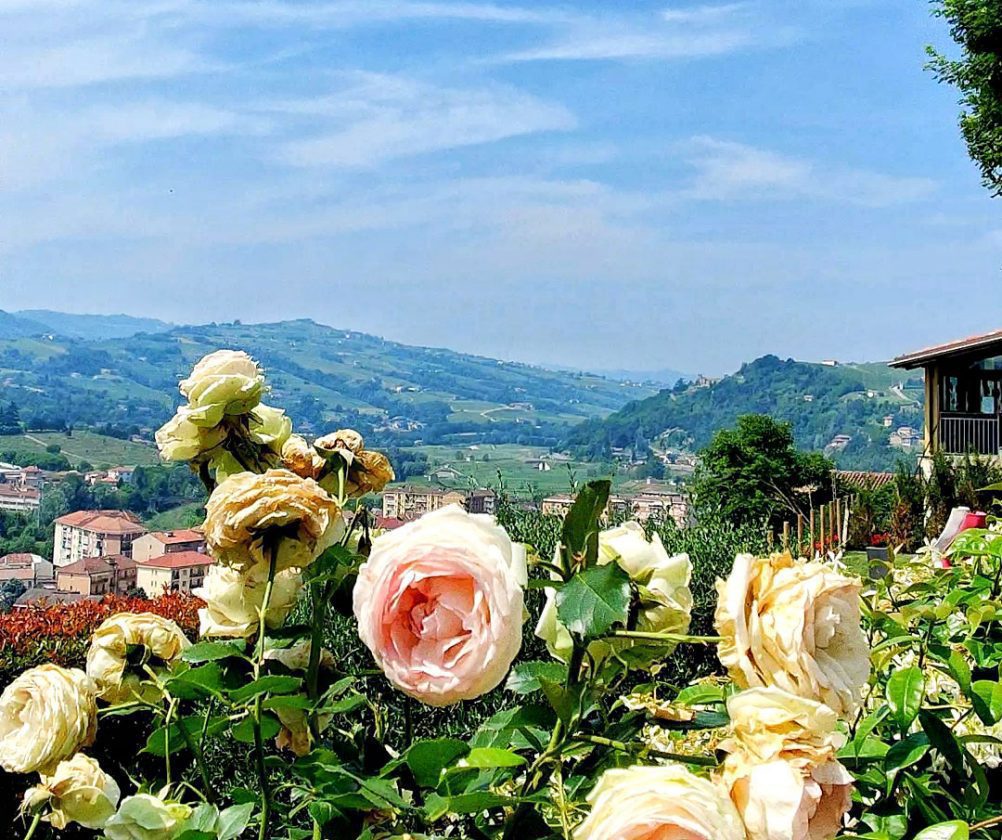 The Underground Cathedrals of Canelli - The Milan Diaries