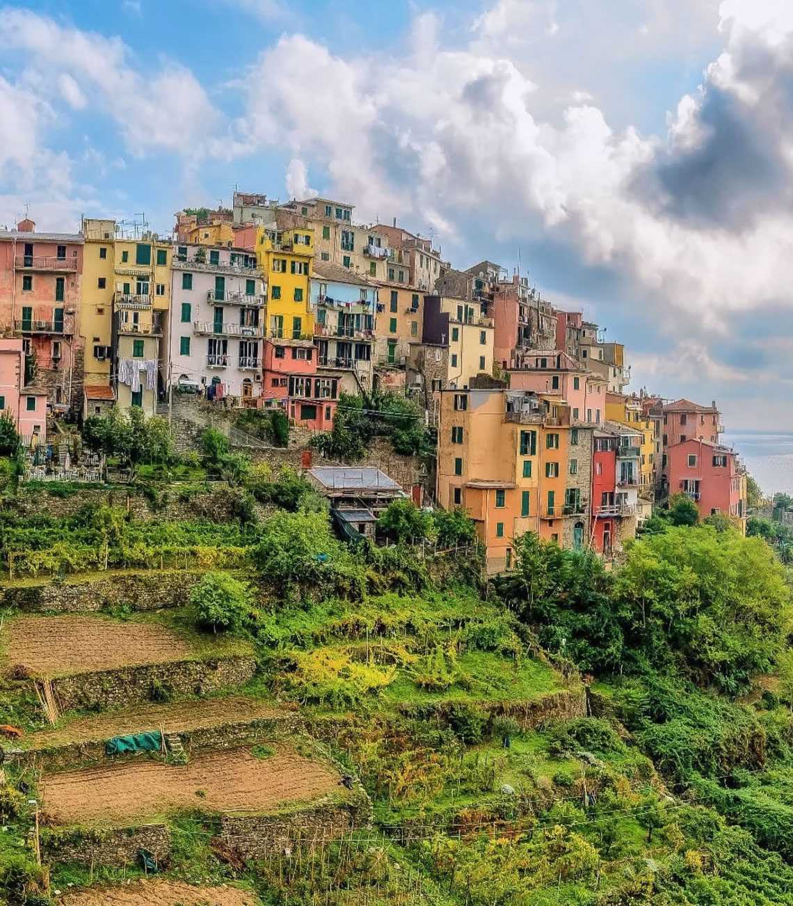 Corniglia: the pearl of Cinque Terre set on the cliff - The Milan Diaries