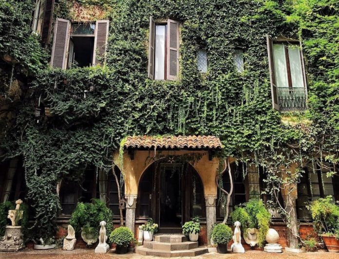 Leonardo Da Vinci vineyard in the heart of Milan - The Milan Diaries